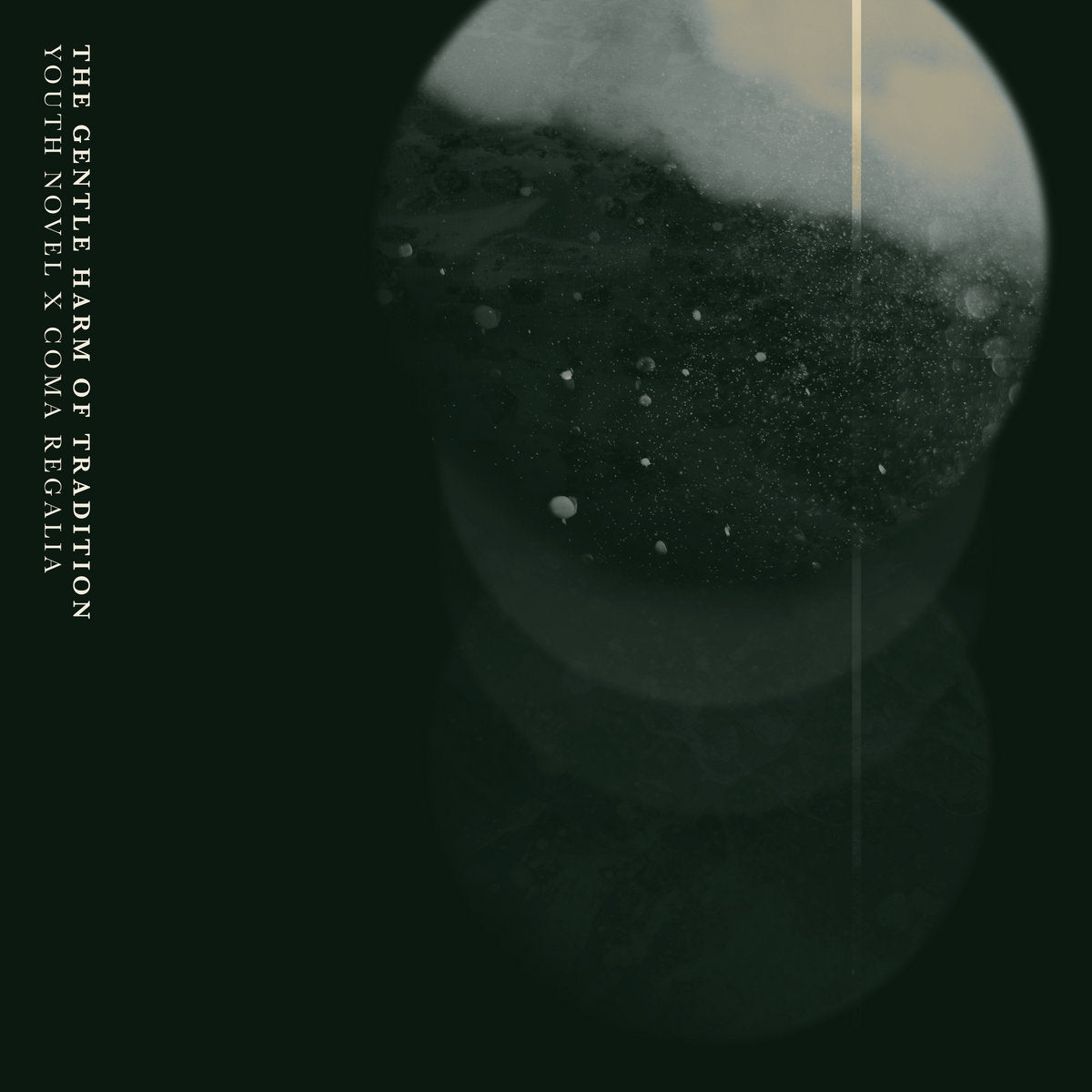 Coma Regalia / Youth Novel - "The Gentle Harm of Tradition" 7 ...